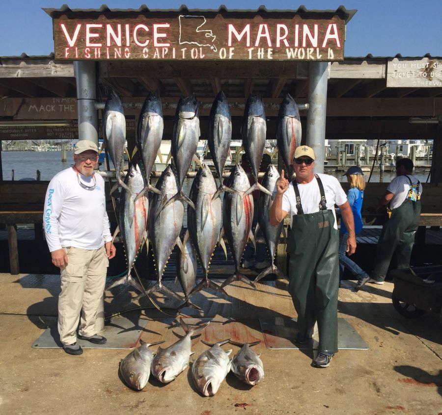 Louisiana Offshore Fishing Charters Gets Ready For The Summer Season ...