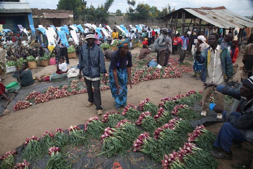 First Ever Guidelines To Help African Governments Improve Food Safety