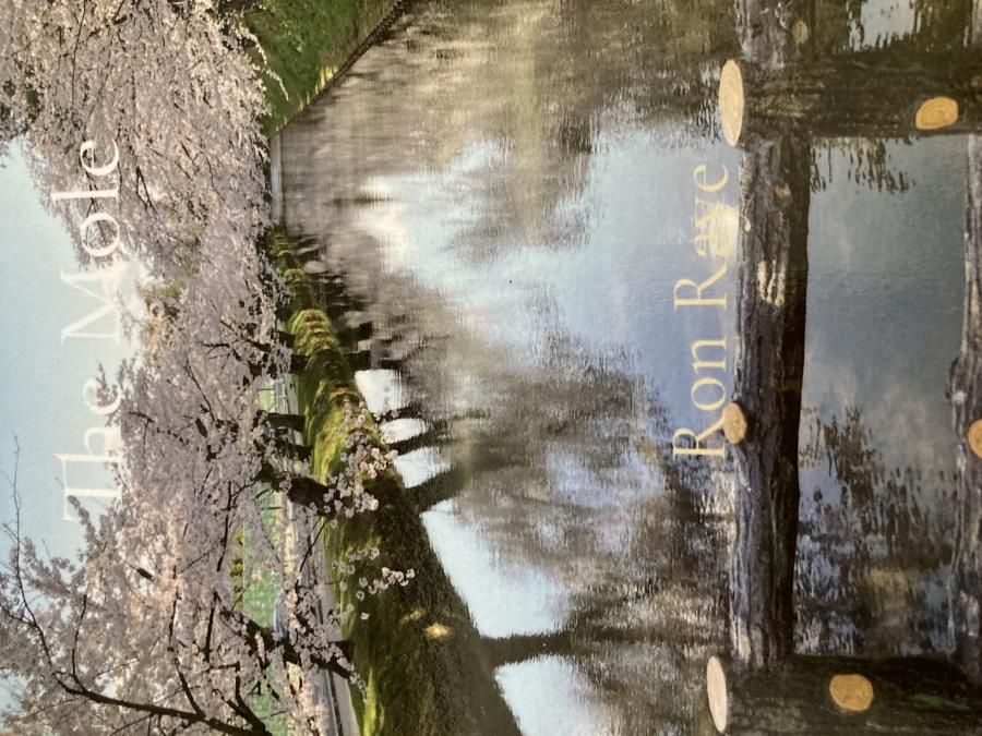 Announcing 'The Mole': A Groundbreaking Epic Poem Exploring the Decline ...