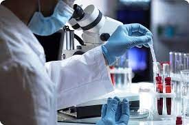Central Lab Market Is Booming Worldwide 2024-2031: Eurofins Central ...