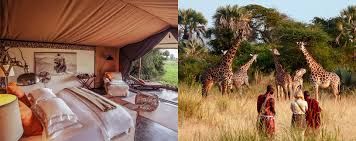 Luxury Safari Tourism Market to see Huge Growth by 2030 | Wilderness ...