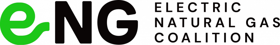 The e-NG Coalition welcomes 9 new members to accelerate the development ...