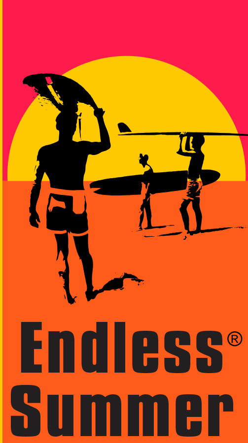Iconic Endless Summer License Plate to Support California's Coast ...