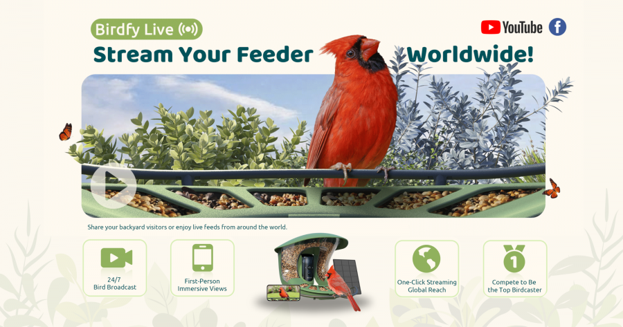 Birdfy Introduces Birdfy Livestream: One Click to See Birds & Share ...