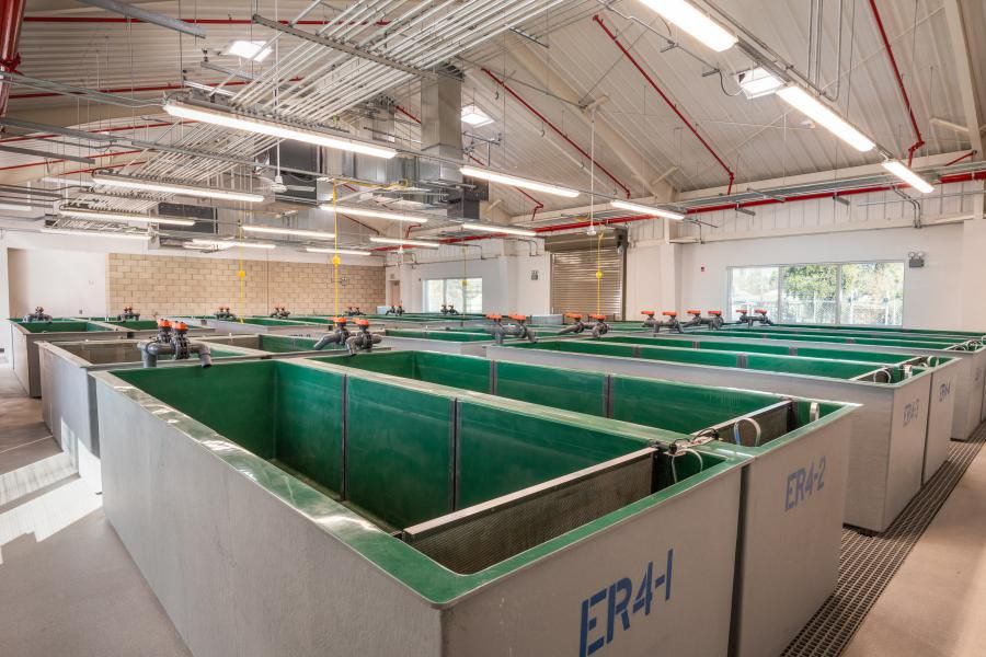 Thompson Builders Corporation Successfully Completes the $21.7M San ...