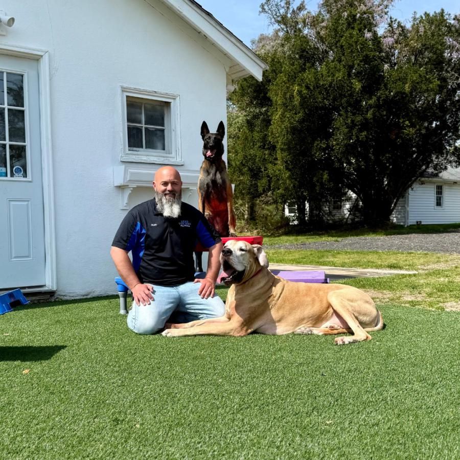 Former Law Enforcement K-9 Sergeant Transforms Police-Grade Dog ...